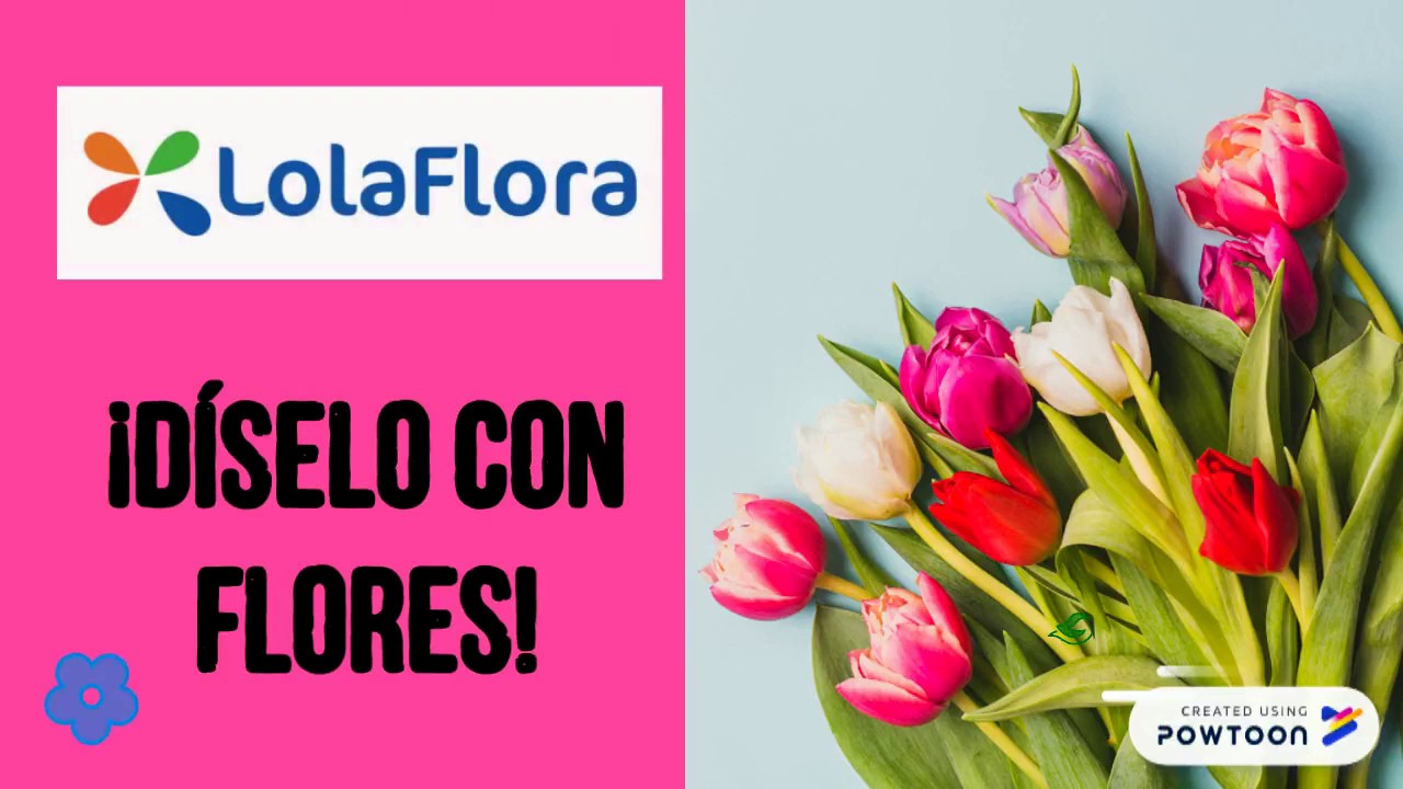 Florería LolaFlora