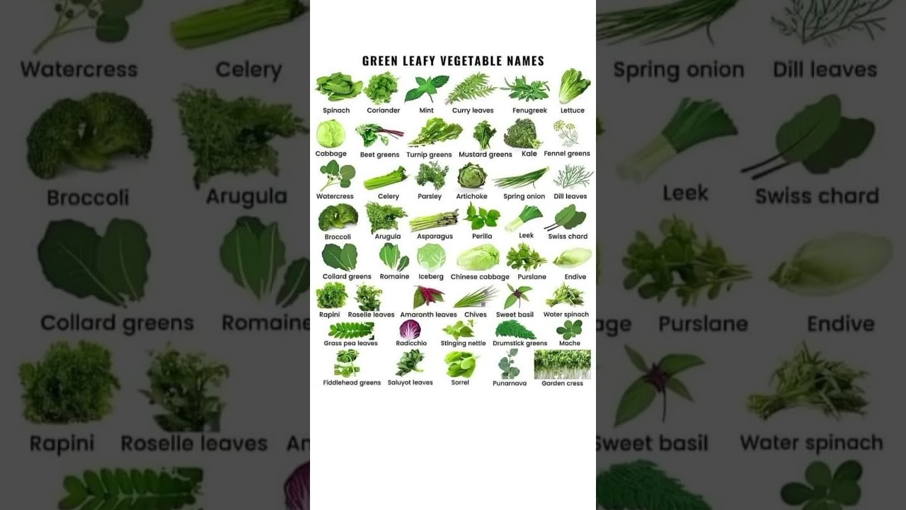 Green leafy vegetable Names #grammar #english #vocabulary