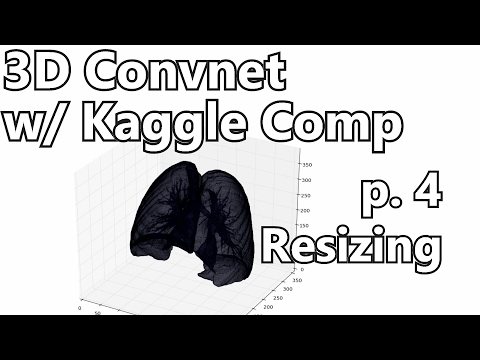 Resizing Data - 3D Convolutional Neural Network w/ Kaggle and 3D ...