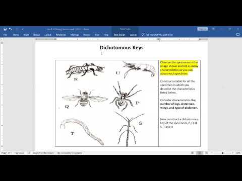 3RD JAN 2023 S 2 BIOLOGY DICHOTOMOUS KEYS