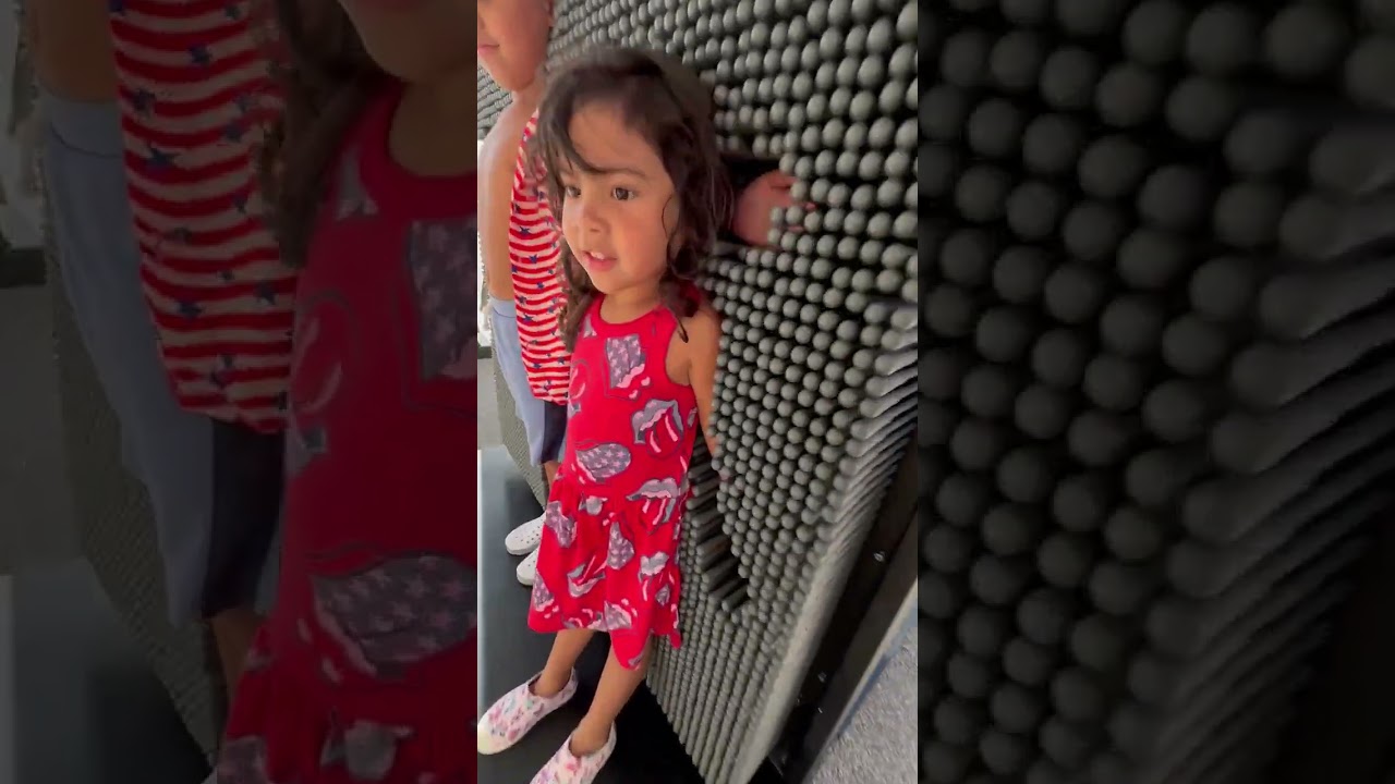 Life Size Giant Pin Art Party Game Rental In Florida