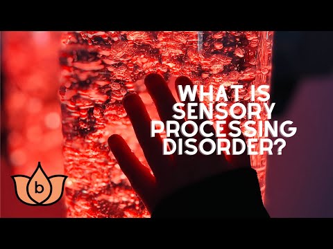 What is Sensory Processing Disorder? (SPD) -Understanding ASD and Sensory Processing Differences