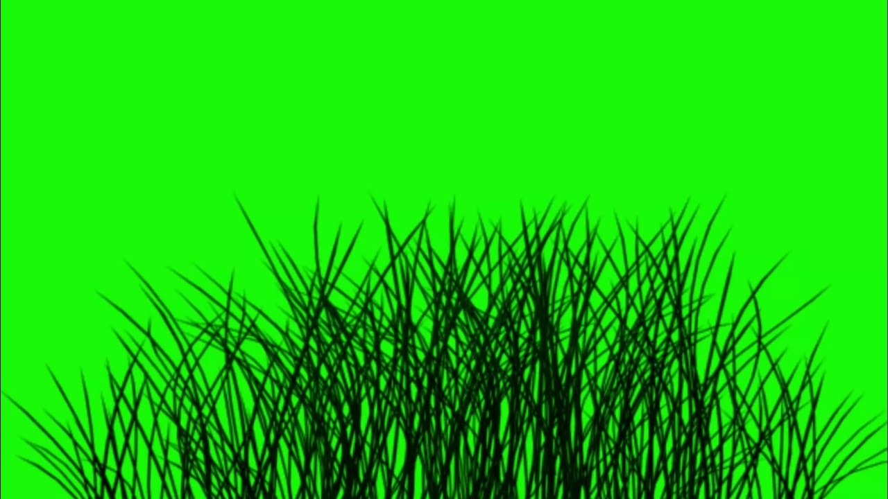 Green Screen Grass Silhouette Animation Effects Full HD