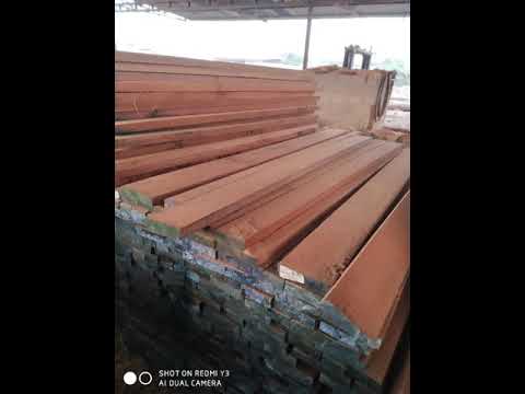 Marandi Wood - Marandi Teak Wood Latest Price, Manufacturers & Suppliers