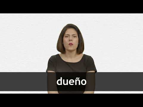 English Translation of “DUEÑO” | Collins Spanish-English Dictionary