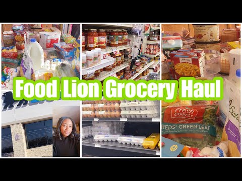 GROCERY SHOP WITH ME | GROCERY HAUL | Food Lion Everything Under $150 | FAMILY OF 3 | LifeAsBrittany