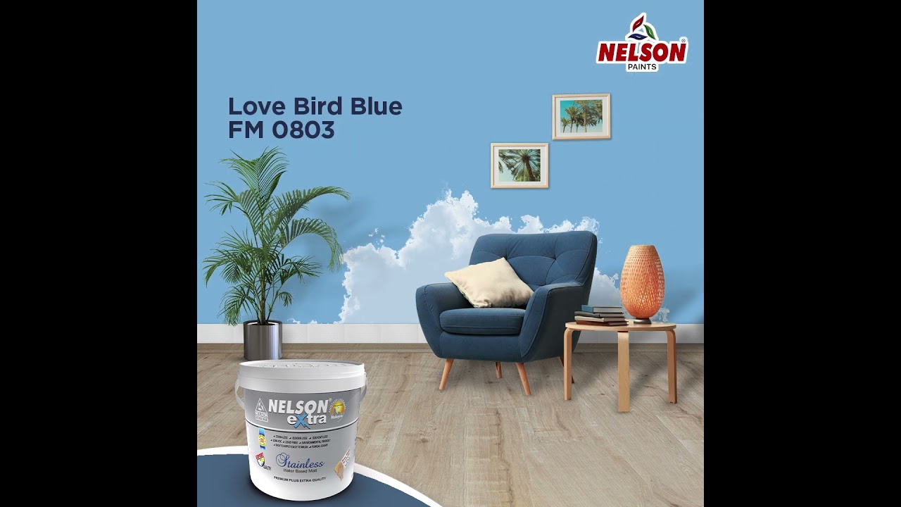 Explore Nelson Paint’s premium plus, extra quality, stainless paints