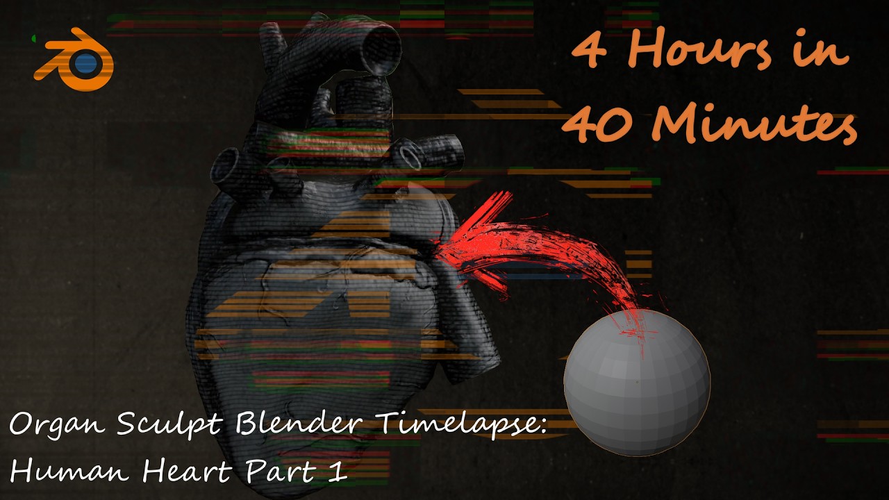 Anatomical Human Heart Blender Timelapse
