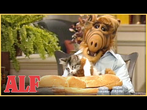 ALF Makes a 🐈 🥪