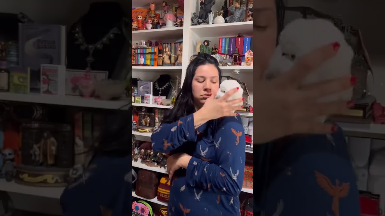 Harry Potter owl unboxing 🦉