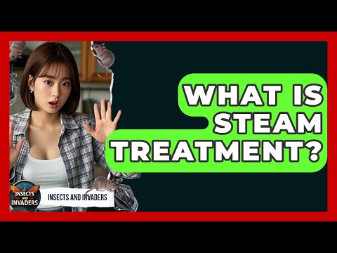 What Is Steam Treatment? - Insects and Invaders