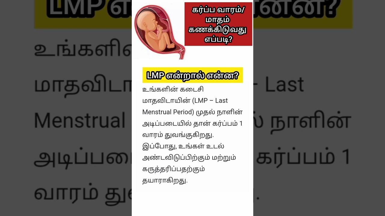 Pregnancy 1st week calculation|what is LMP #shorts #short #LMP #shortvideo  #pregnancy