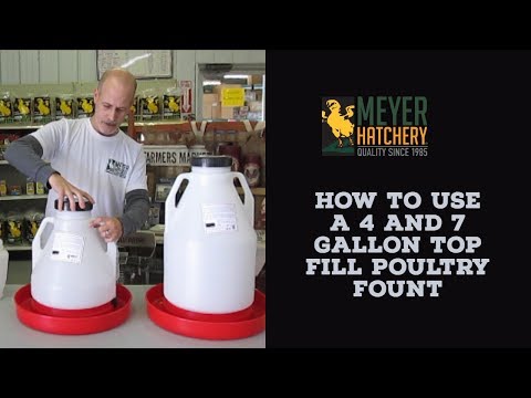 Meyer Hatchery Demo Time - 4 (and 7) -Gallon Top Fill Poultry Fount