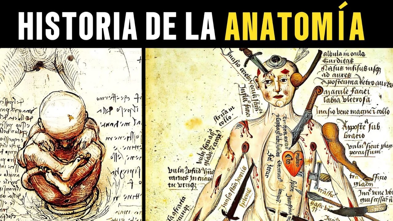 History of Anatomy: How the Study of the Human Body Began.