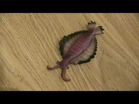 Anomalocaris ENG Piotr Napierała Theatrum Illuminatum