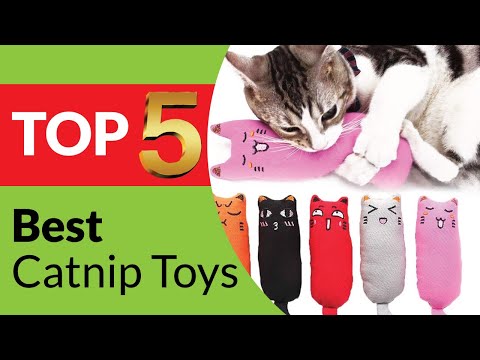 Top 5 Best Catnip Toys Review in 2025 [Tested & Reviewed]