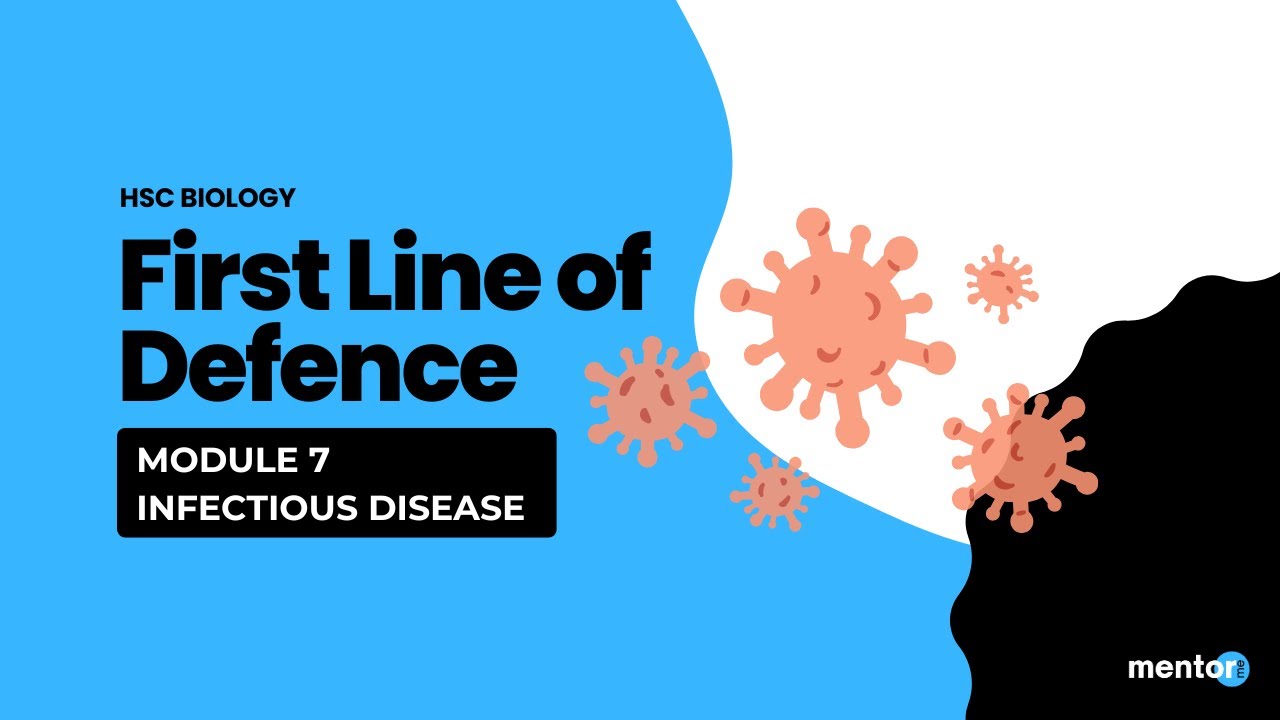 First Line of Defence | HSC Biology Module 7: Infectious Disease