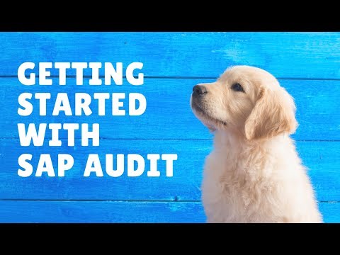 SAP GRC SOD Concept with SUIM for Auditors