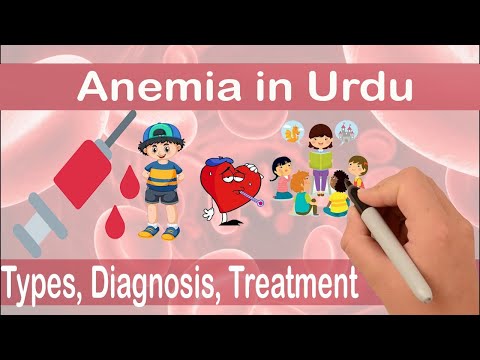 Anemia | Signs and Symptoms | Diagnosis | Treatment | Urdu/Hindi