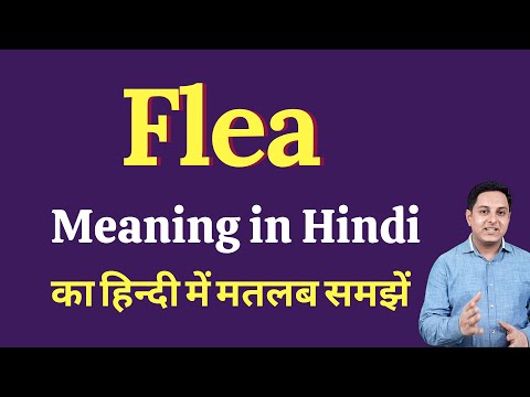 Flea meaning in Hindi | Flea ka kya matlab hota hai | Spoken English Class