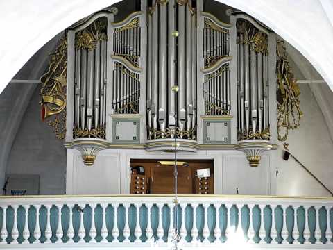 ORGAN HISTORY. HORNE CHURCH.DK