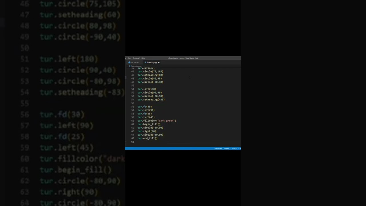 Draw Rose flower 🌹 with python turtle | python turtle graphics Tutorial