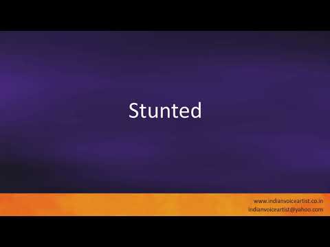 Pronunciation of the word(s) "Stunted".