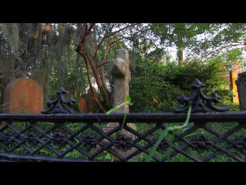 Tour Charleston LLC - Ghost Tours