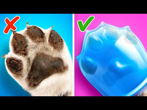 INCREÍBLES TRUCOS Y DISPOSITIVOS PARA MASCOTAS | Mascotas