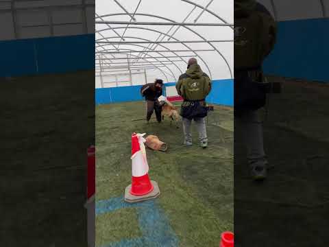 Jpmank9 getting ready for PSA2