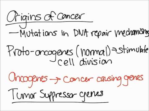 Origins of Cancer