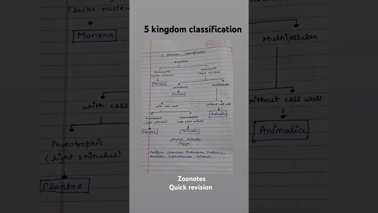 5 kingdom classification flow chart quick revision...5 sec learning...