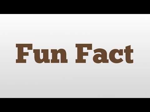 Fun Fact meaning and pronunciation