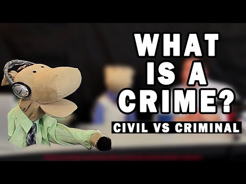WHAT IS A CRIME? Civil vs Criminal Charges | PONIES Talk About CRIMINAL LAW