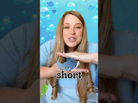 Ocean Animal Opposites Song πΆ Kids Song | Learn opposites