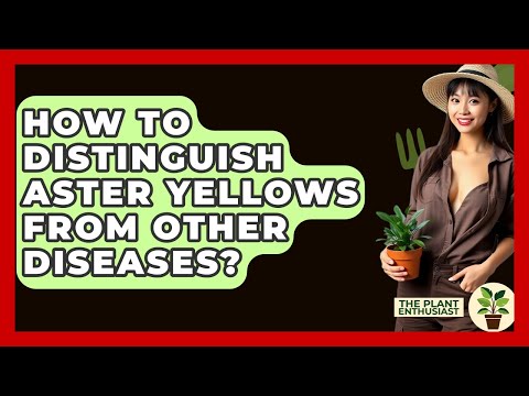 How To Distinguish Aster Yellows From Other Diseases? - The Plant Enthusiast
