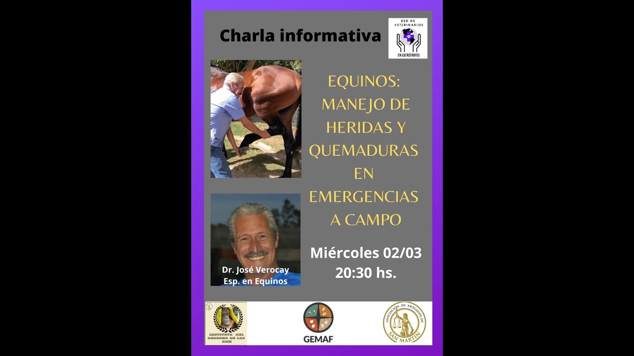 RED DE VETERINARIOS EN CATÁSTROFES- EQUINOS: MANEJO DE HERIDAS  Y QUEMADURAS