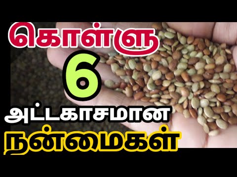 கொள்ளு பயன்கள் | kollu benefits tamil | horse gram benefits tamil | weight loss food| உடல் எடை குறைய