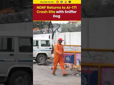 Ahmedabad NDRF Team with Sniffer Dog Returns to AI-171 Crash Site Searching for Survivors