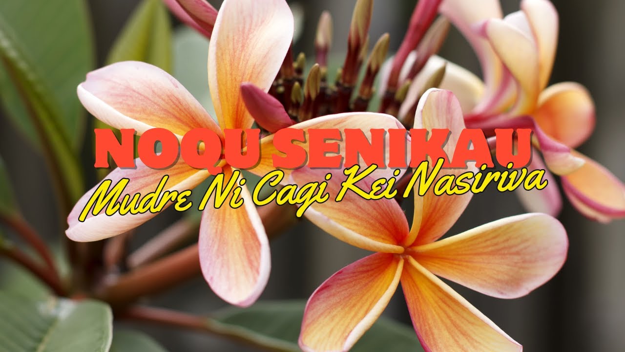 Noqu Senikau by Mudre Ni Cagi Kei Nasiriva from Fiji | Popnable