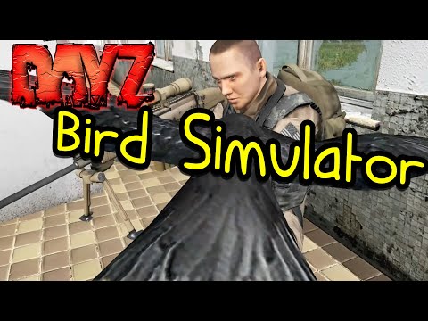 Steam Community :: Video :: DayZ Bird Simulator