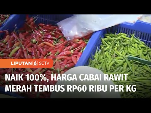 Harga Cabai Rawit Hijau Naik 100 Persen! | Liputan 6