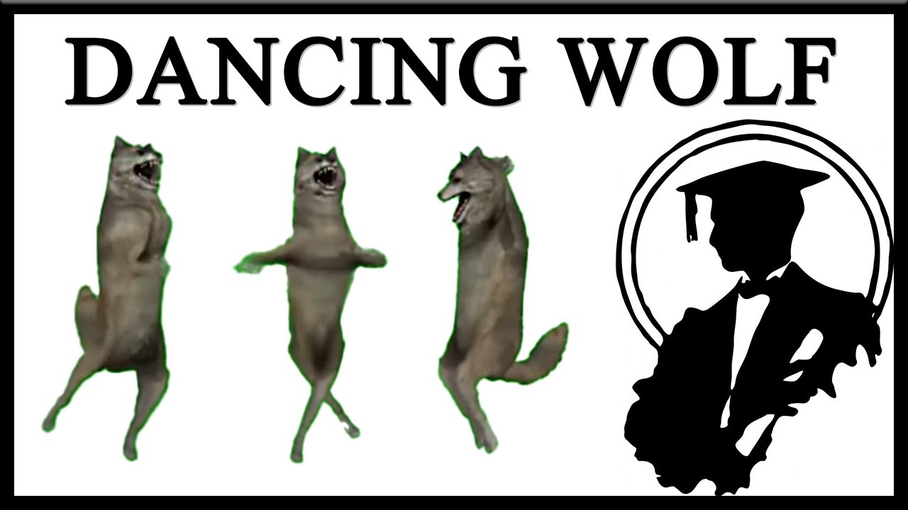 Where Did The Dancing Wolf Come From?