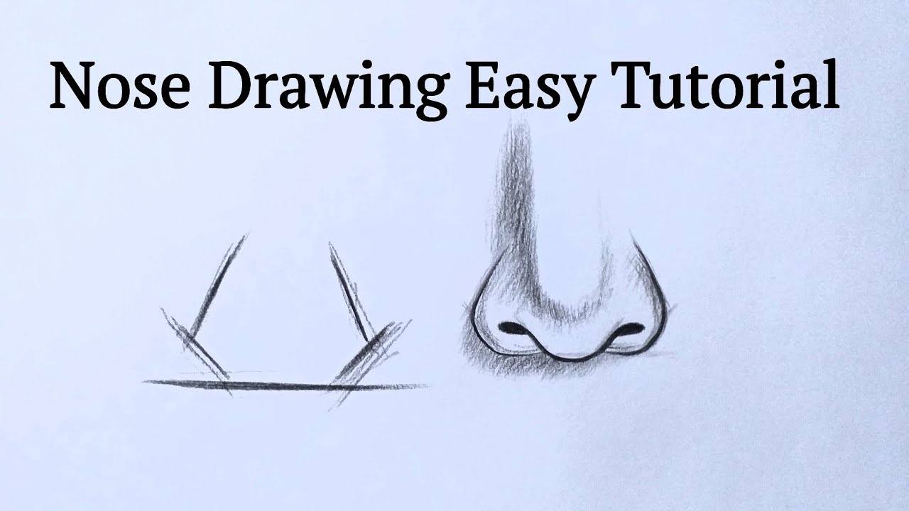 How to draw a nose easy reference Drawing a nose step by step with pencil  tutorial for beginners