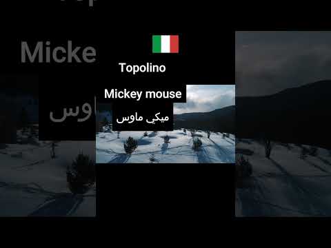 Trying to learn italian phrases&words : how to say ( Mickey Mouse ) in italian