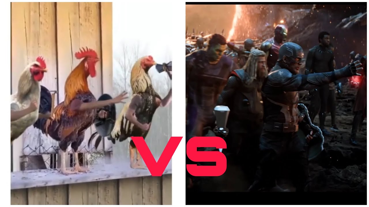 Avengers assemble Vs chickens assemble funny moments 🤣. #avengerassemble #funnyavengersmemes #viral