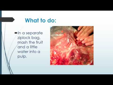 DNA Extraction PPT for web