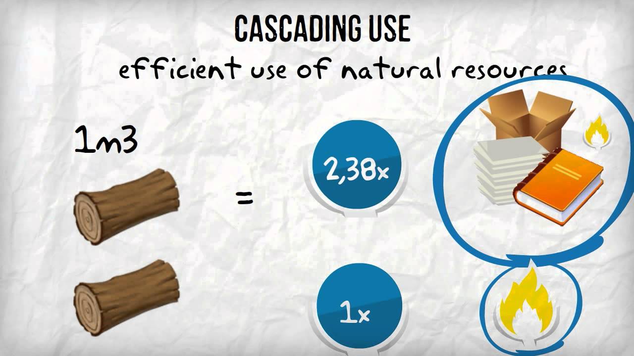 Circular economy and the pulp and paper industry