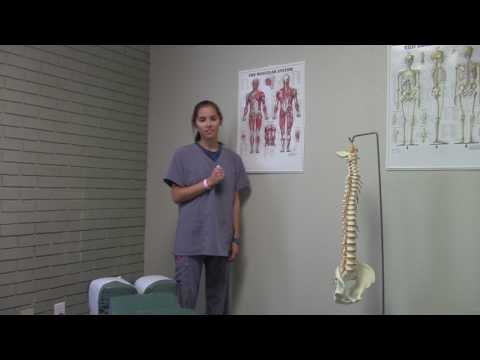 Exercise Physiology Internship, SCW