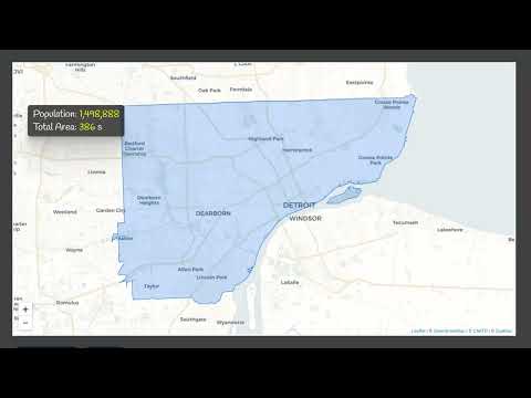 313 Area Code (Michigan) Social & Economic Profile